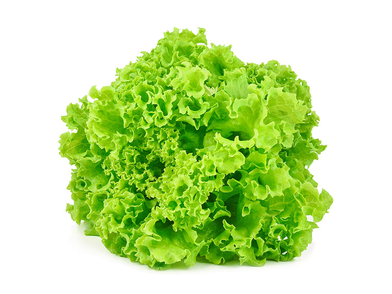 Eichblatt grün CH • Webshop Farmer's Markt