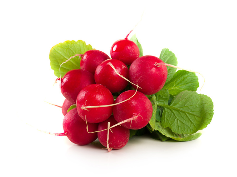 Radiesli • Webshop Farmer's Markt