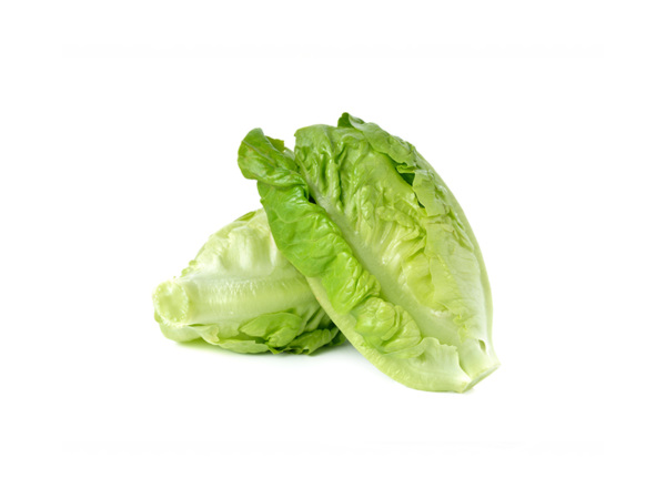 Mini-Lattich • Webshop Farmer's Markt