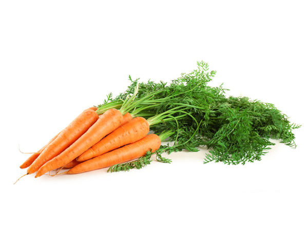 Karotten Bund • Webshop Farmer's Markt